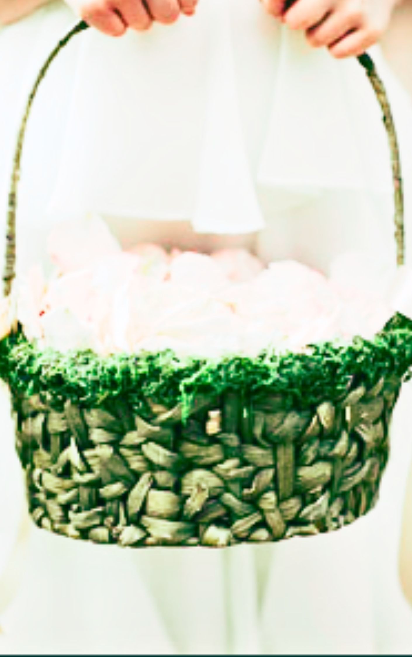 A Troublesome Fairy Princess – Fairy Fandom